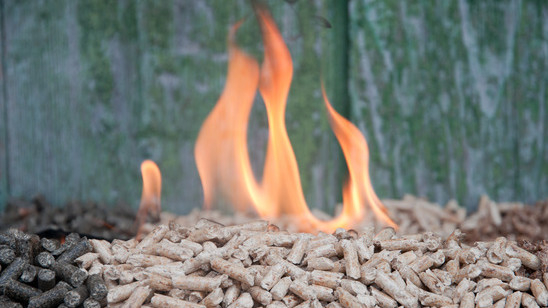 BankTrack – Banks and biomass