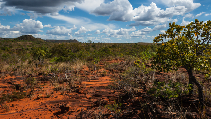 BankTrack – New report by Global Witness "The Cerrado crisis: Brazil’s ...